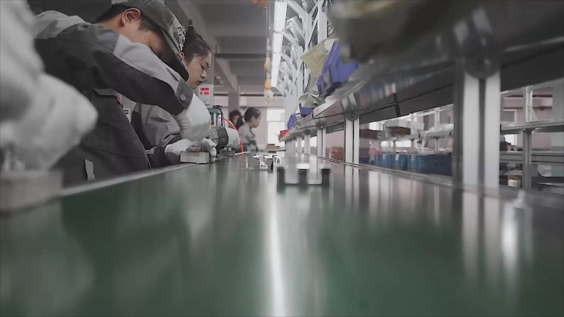 Certificate - Prolangh